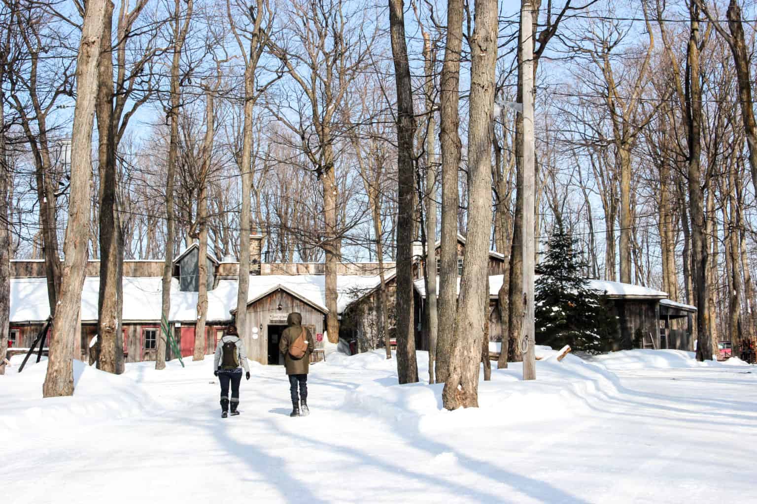 Where and How to Spend Winter in Quebec Province, Canada