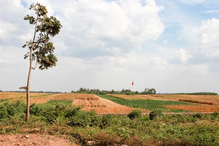 Why Visit Kampong Cham, Cambodia? The Understated City