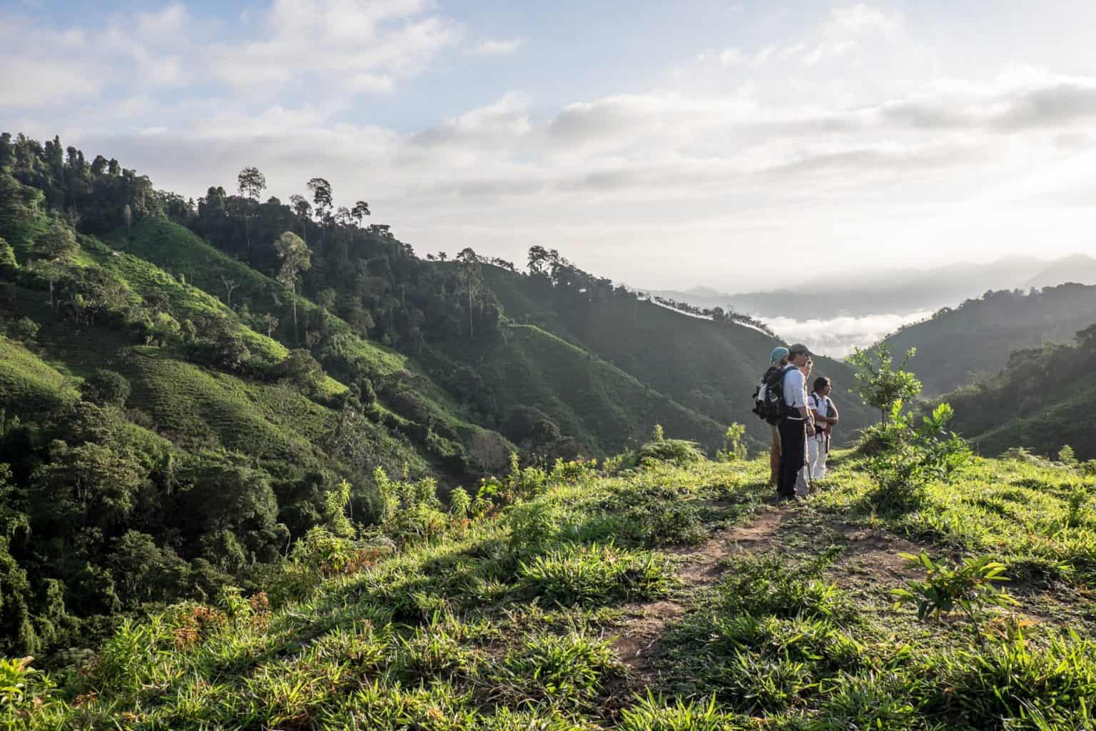 Inspiring Mountain Quotes to Power Your Sense of Adventure