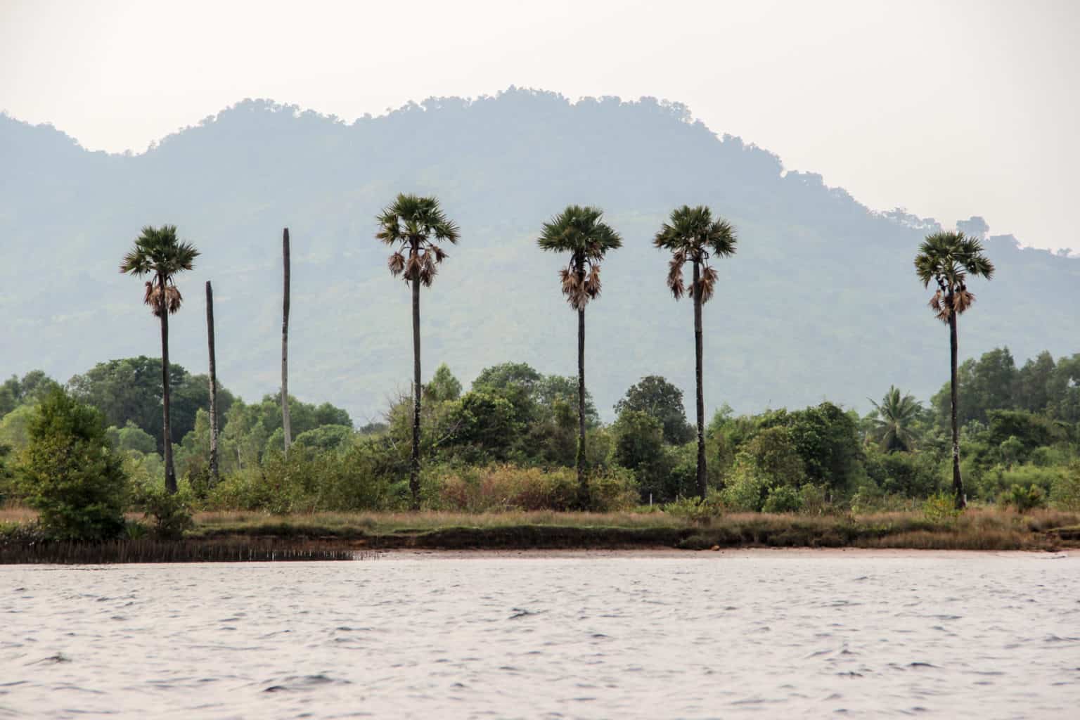 A Curious Guide on the Things to Do in Kampot, Cambodia
