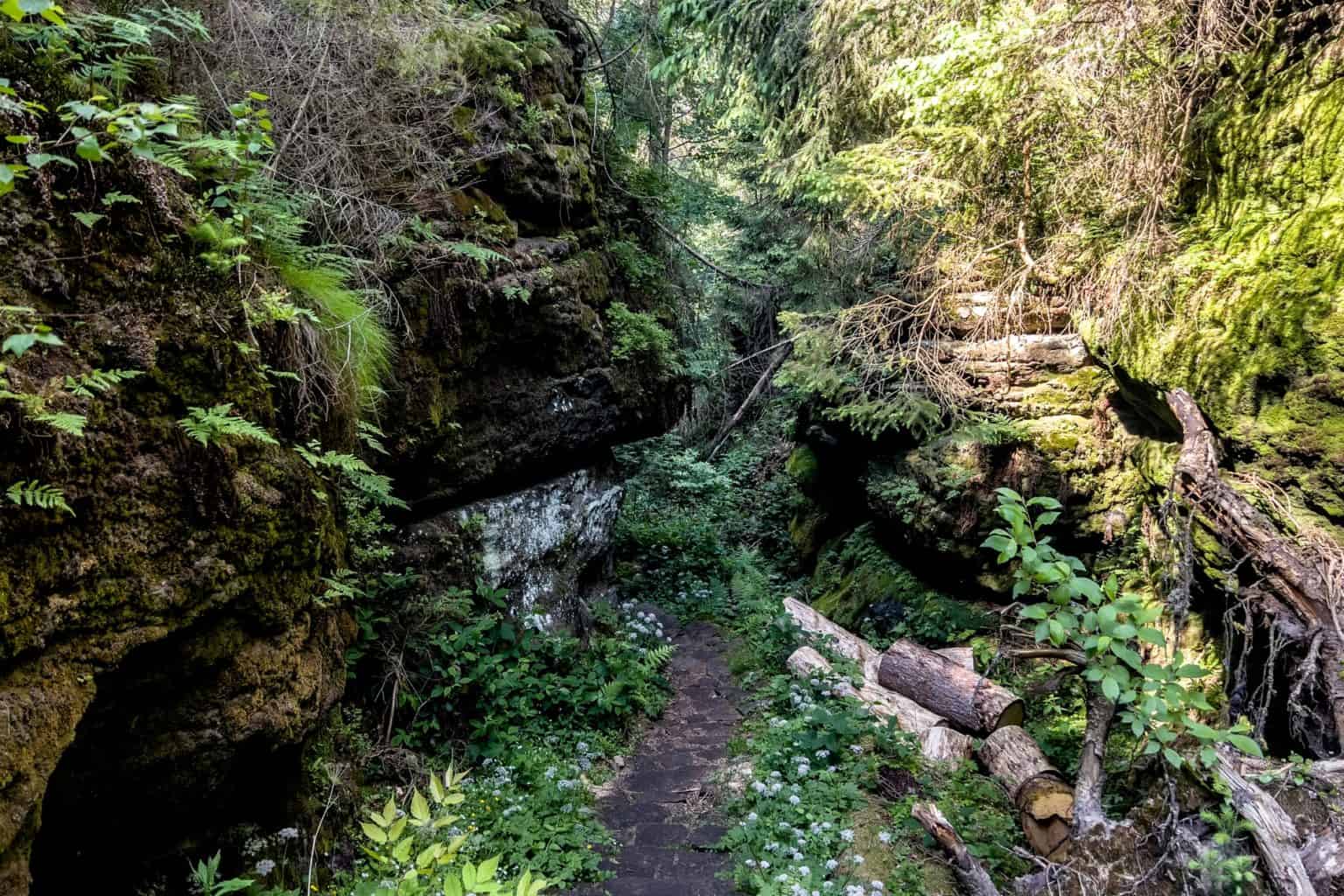 Hiking in Bohemian Switzerland National Park, Czech Republic
